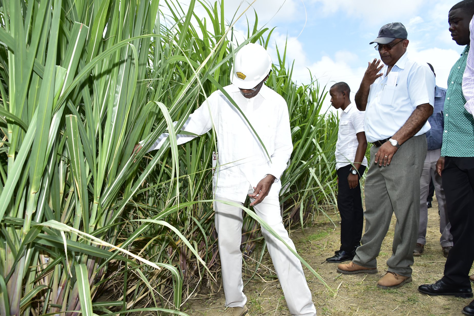 Ali vows to restore sugar industry – Village Voice News